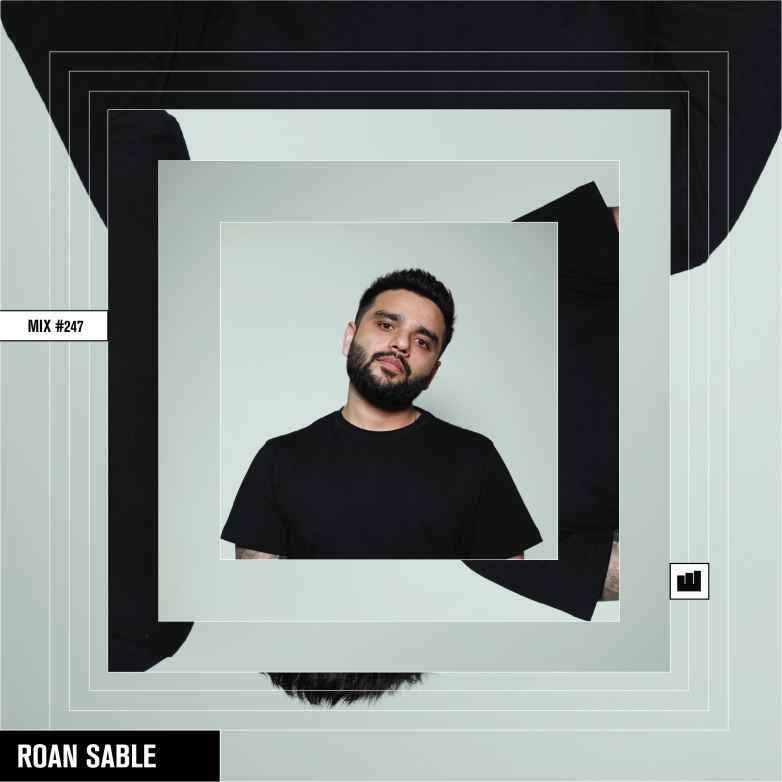 Wild City #247: Roan Sable - Wild City